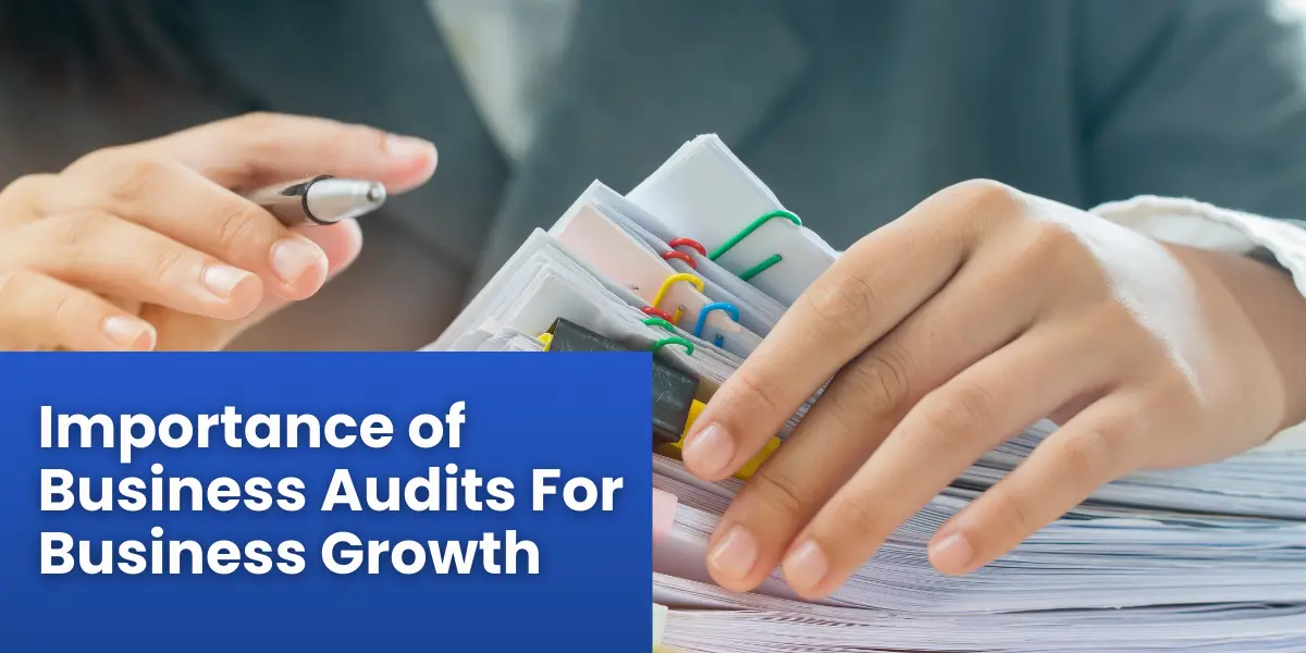 Importance Of Business Audits For Business Growth
